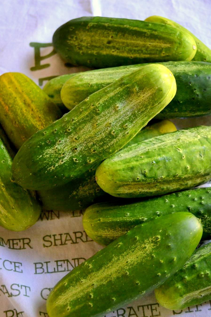 Simple Zesty Refrigerator Dill Pickles - Fair Robin Revival