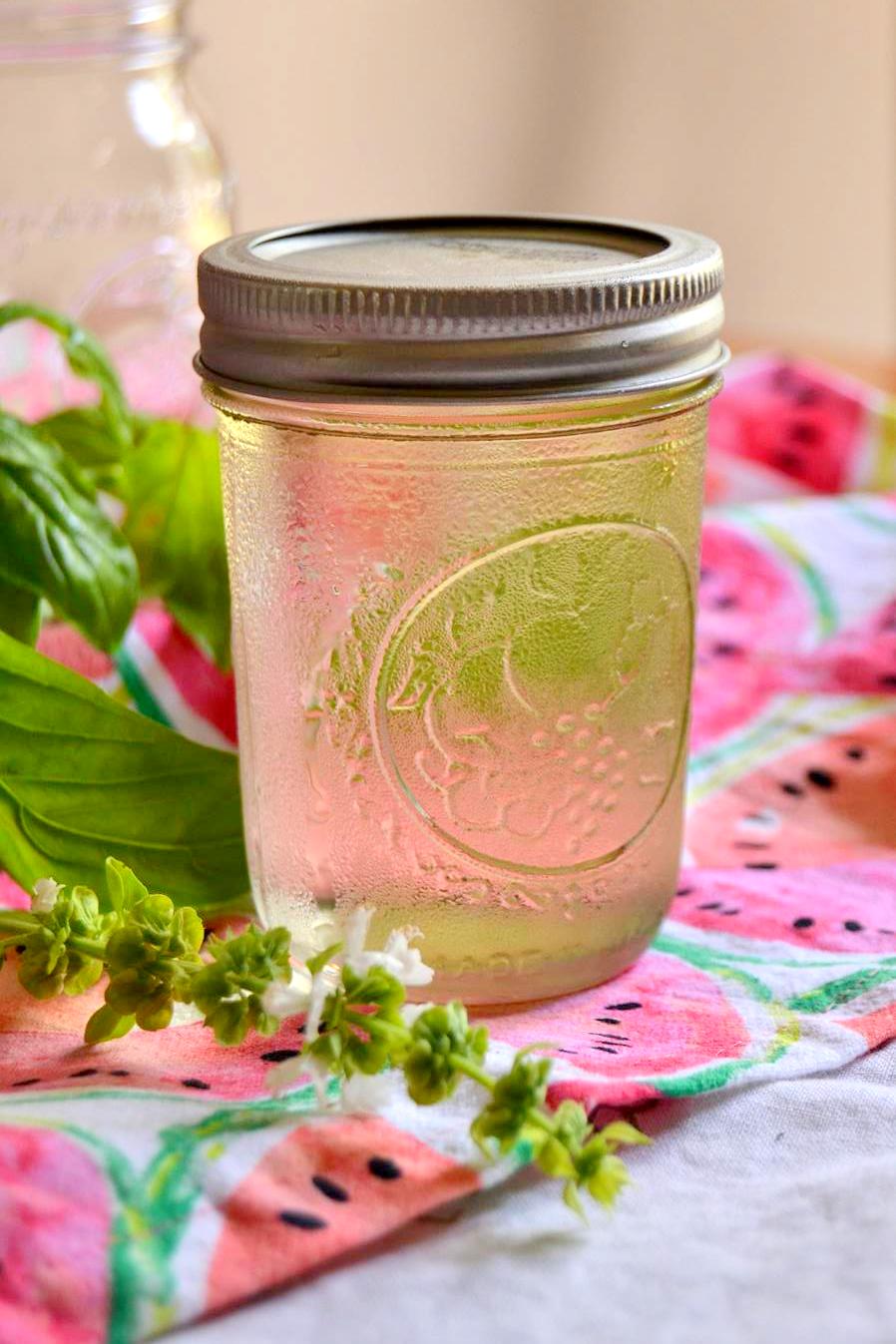 Watermelon Basil Vodka Coolers - Fair Robin Revival