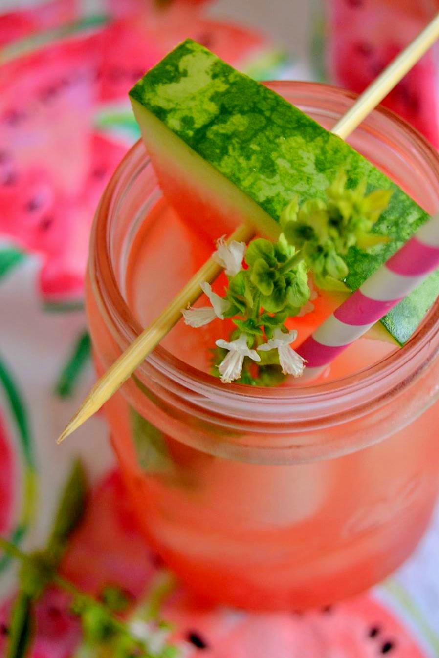 Watermelon Basil Vodka Coolers - Fair Robin Revival