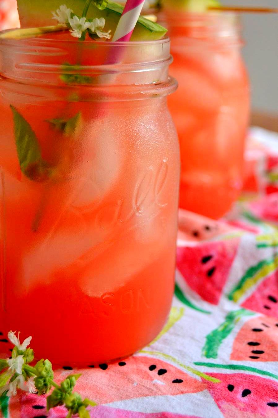Watermelon Basil Vodka Coolers - Fair Robin Revival