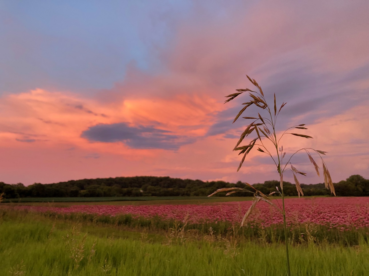 Welcome! - Fair Robin Revival