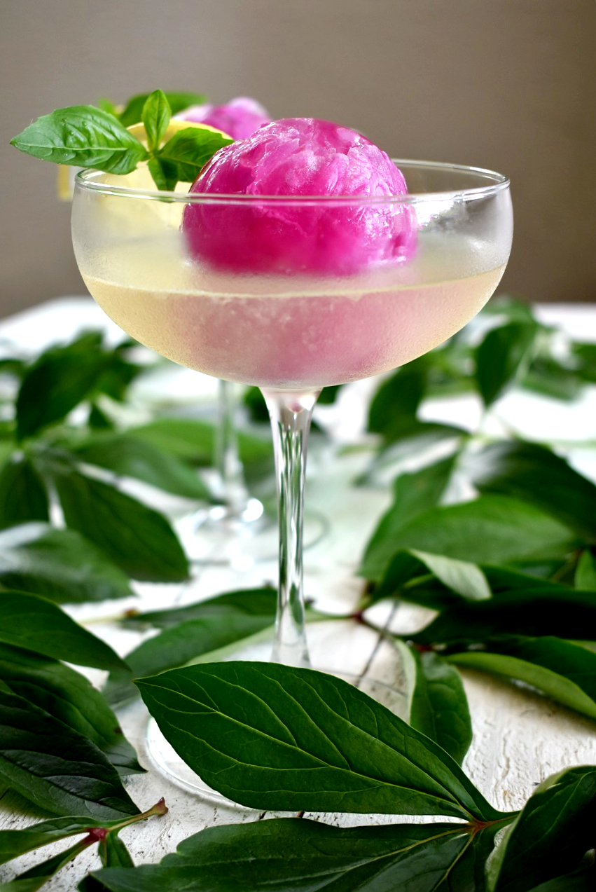 Peony Petal Gin Martini - Fair Robin Revival